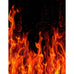 Fire On Black Photography Photo Background